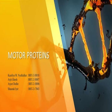 Motor Proteins | PPTX