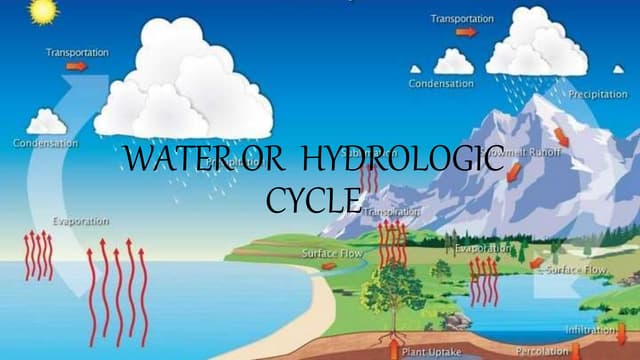 The Water cycle Presentation | PPT