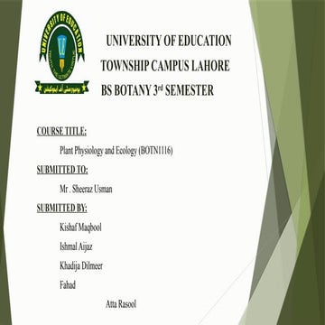 Photosynthesis basic mechanism in plants Presentation.pptx