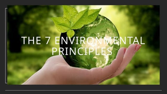The-Seven(7)-Environmental-Principles-.pdf