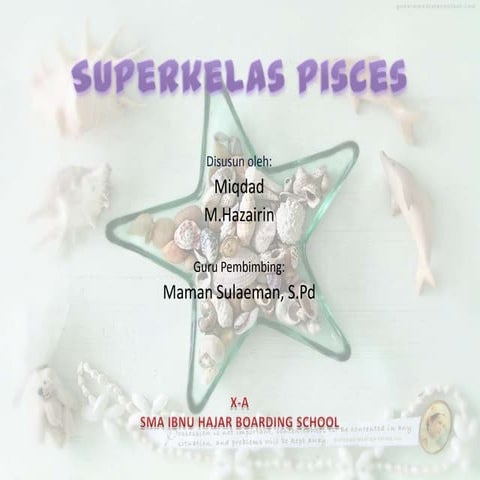 Group 7 phylum pisces | PPT