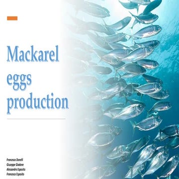 Mackerel_eggs_analysis.pptx