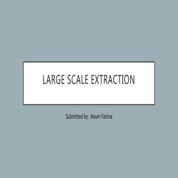 Large Scale Extraction | PPTX