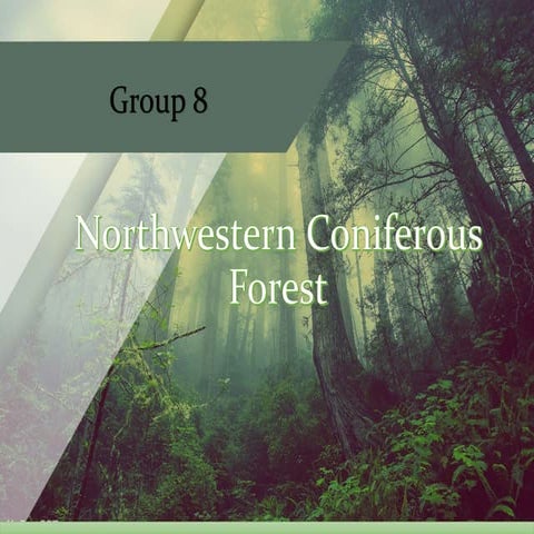 Group 8.pptx | Geography | Science