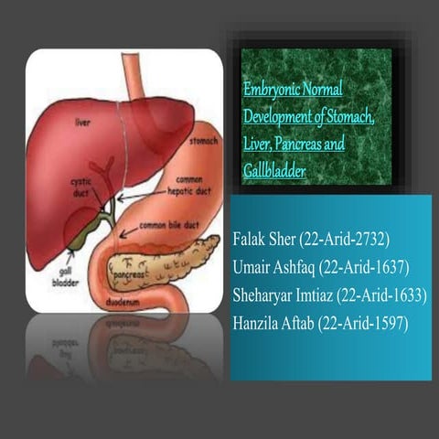 Embryology of Digestive system | PPT