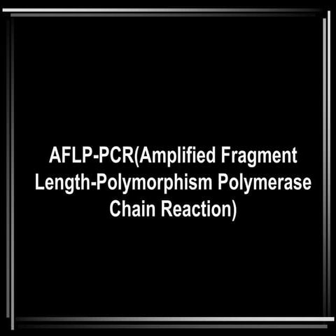 Group 9 Amplification fragment length polymorphisn-1.pptx