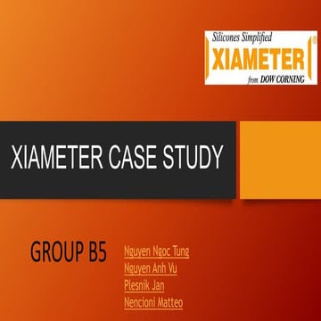 Xiameter Strategic Marketing | PDF