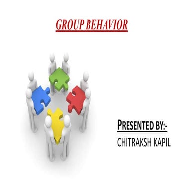 Group Behavior in organisaations | PPT