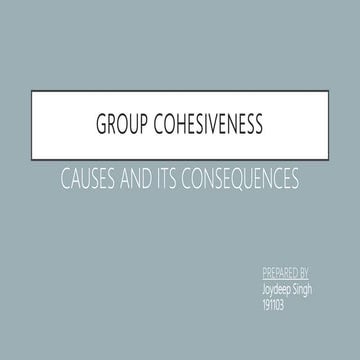 GROUP COHESIVENESS | PPTX | Science