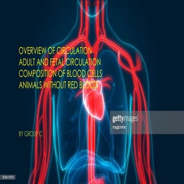 GROUP C PRESENTATION Foundation Biology 1 | PPT