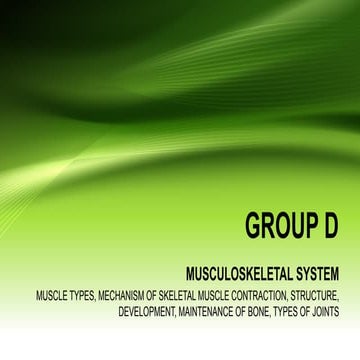 GROUP D Muscle skeletal system Foundation | PPTX