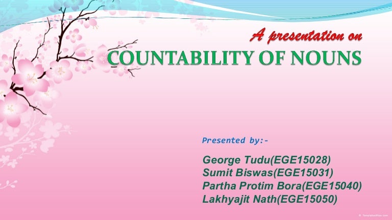 Countability of nouns
