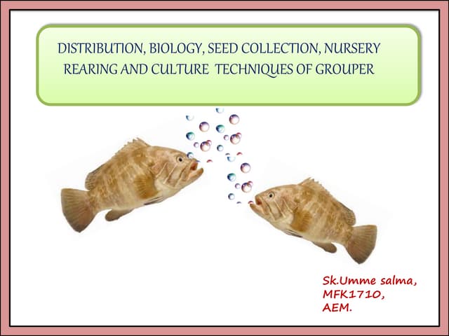 Trasportation of fish seed. | PPTX
