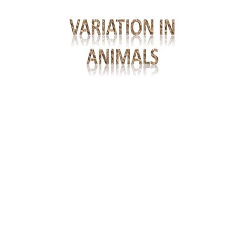 different ways of grouping_animals_variation.ppt