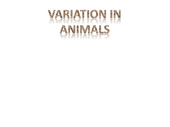 At The Zoo - Animals | PPT