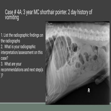 Group IV Assignment diagnostic imaging g4 | PPT