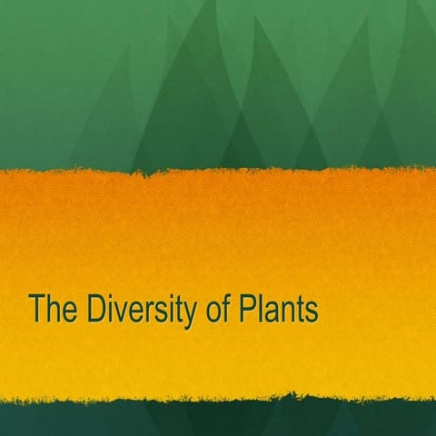 10 major divisions of plants complete | PDF
