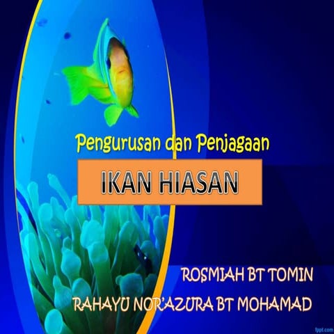 Group rahayu&rosmiahmte1 ikan hiasan | PPT