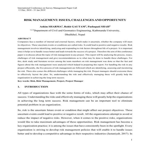 RISK MANAGEMENT: ISSUES, CHALLENGES AND OPPORTUNITY | PDF