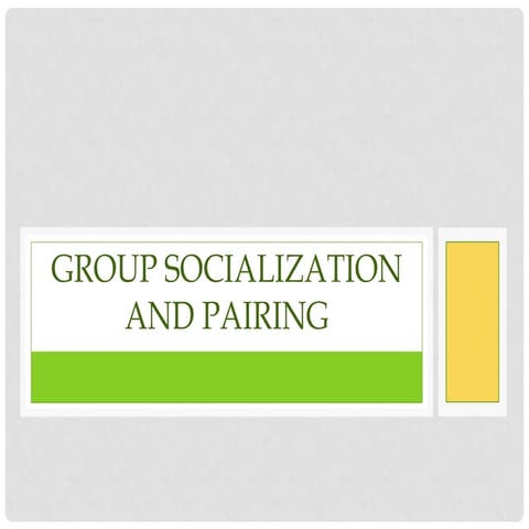 Group socialization | PPTX