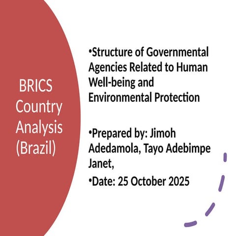 Group_Task_Brazil_Structure (1).pptx.... | PPTX