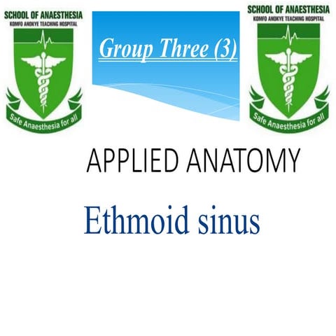 Group Three (3).pptx