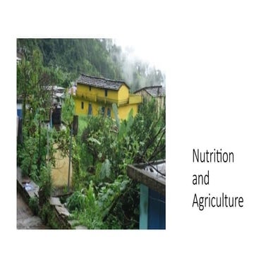 Group work_IND II_Group 2 presentation_IND II.pptx