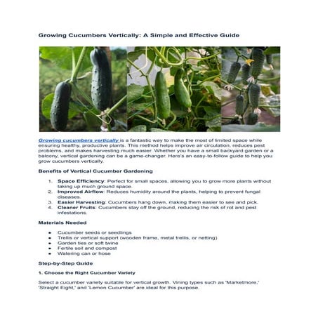 Grow Cucumber Vertically: A Simple Guide | PDF