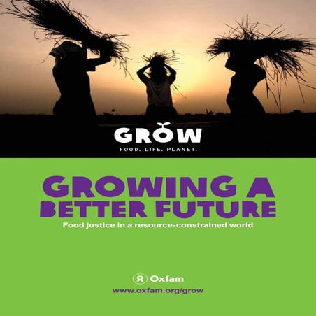 Beyond Food Security: Urban Agriculture as a Form of Resilience | PDF