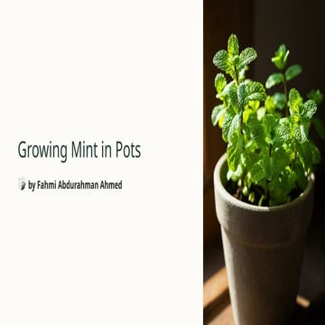 Growing Mint in Pots: Ultimate Container Guide for Abundant Harvests | PPTX