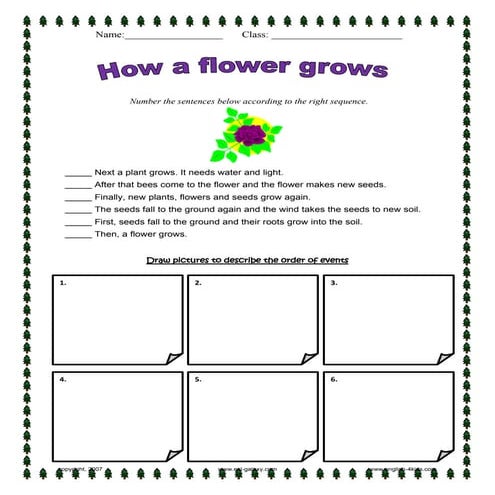 Growingaflowersequence | PDF