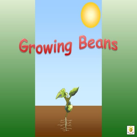 Growing beans | PPT