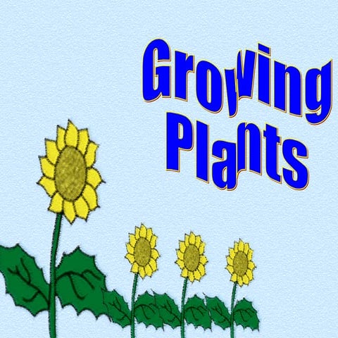 Growing plants | PPT