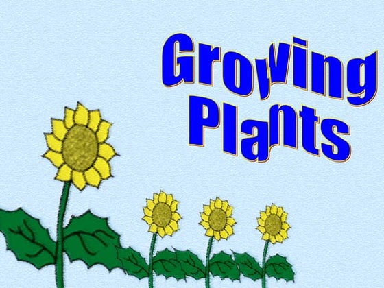 Parts of a plant ppt | PPT