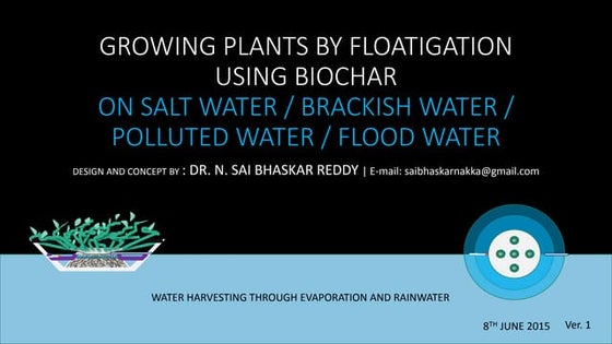 Biochar | PPT