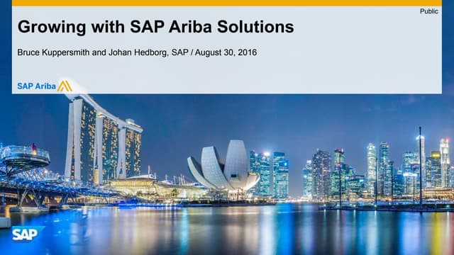 SAP Ariba Procurement: The Buying Process | PDF