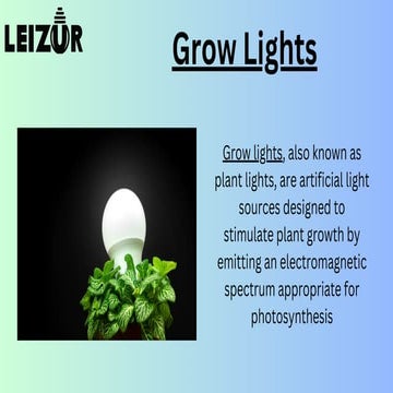 Grow Lights | PPT