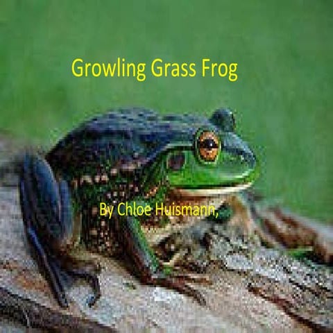 Growling grass frog | PPT