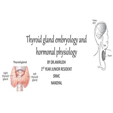 thyroid gland embryolgy, physiology | PPTX