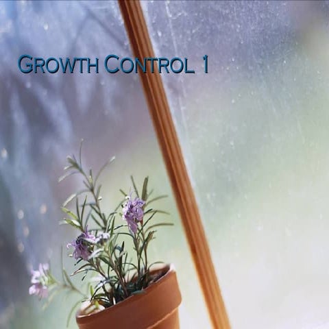 Growth Control 1 | PPT