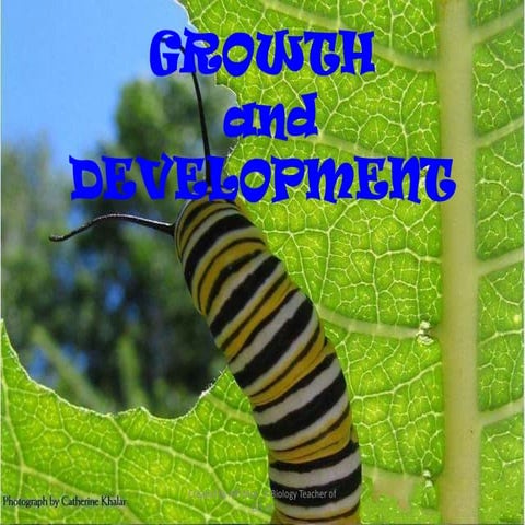 Biology M4 Growth in plants and animals | PPT