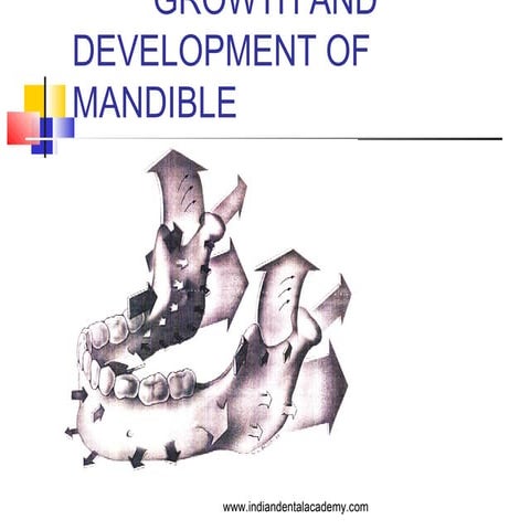 Growth and development of mandible | PPT