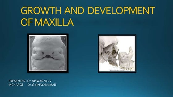 Development & Growth of Maxilla | PPTX