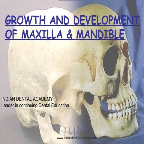 Growth and development of maxilla and mandible/endodontic courses | PPT