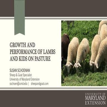 Growth and performance of lambs and kids on pasture | PPTX