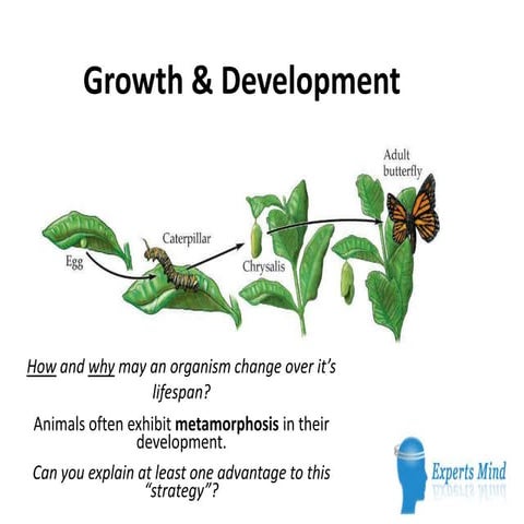 Growth & development | PPTX