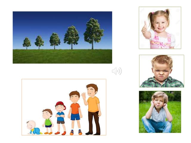 Human growth and development powerpoint | PPTX