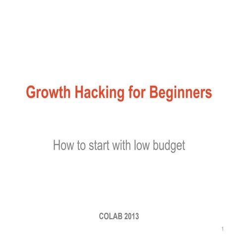 13 Growth Hacking Tips for Beginners | PPT | Free Download