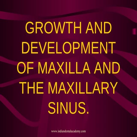 Growth and development of maxilla &maxillary sinus.. | PPT