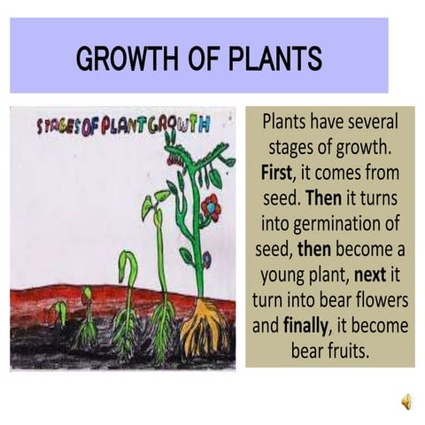 GROWTH OF PLANTS.pptx